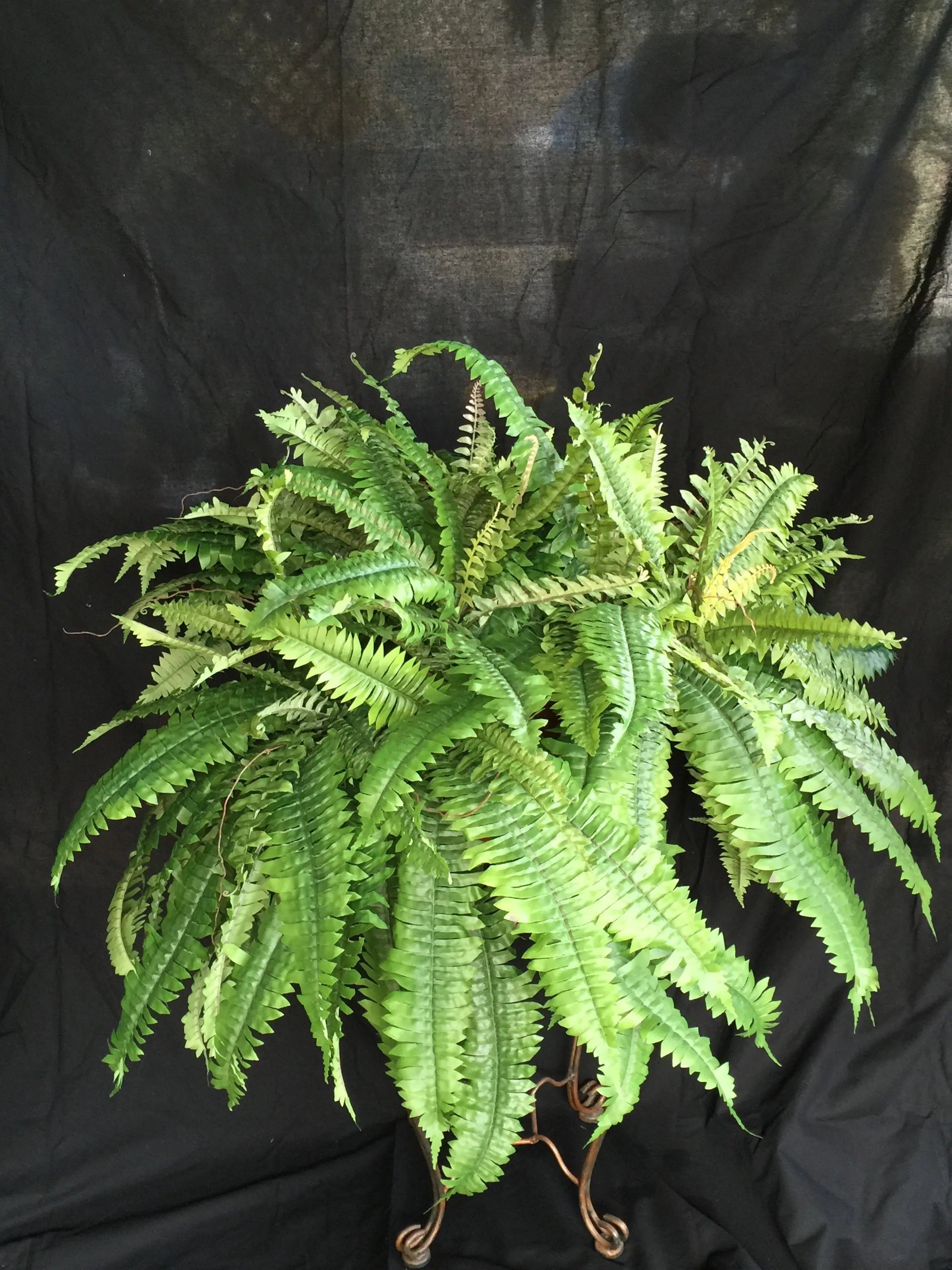 Silk Plants Canada – Premium Artificial Plants & Greenery for Home & Office