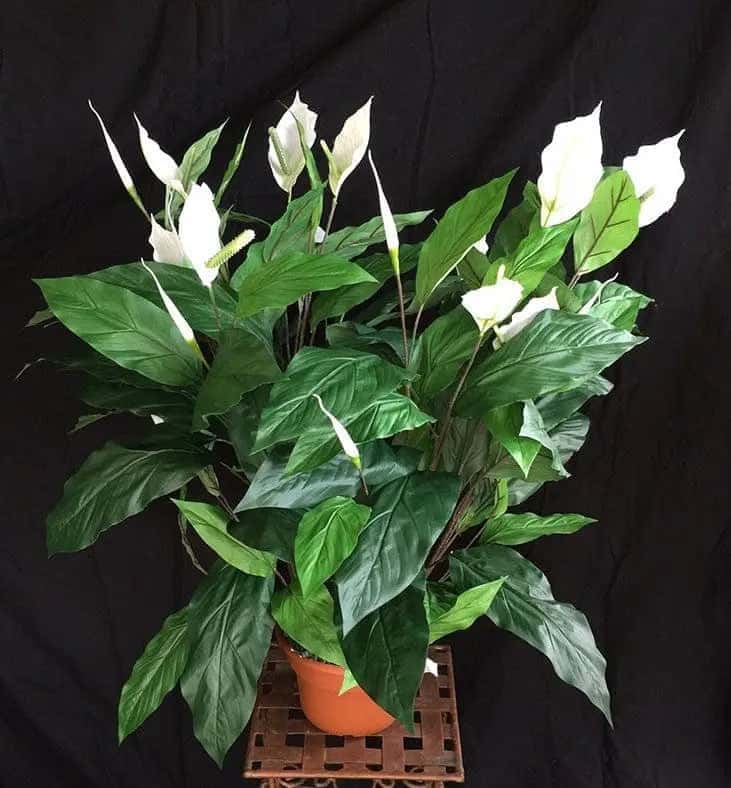 Artificial Plants and Silk Plants for Indoor and Outdoor | Silk Plants ...