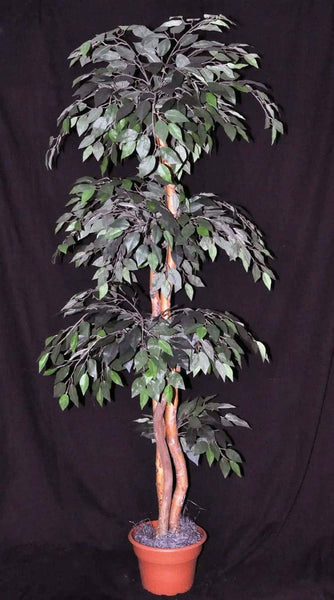6' Artificial Silk Fig Topiary Tree Made on Wood Green Lvs | Silk ...